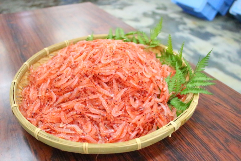 今年は豊漁！日本で唯一「サクラエビ」の春漁スタート【静岡市・由比】 - テレしずWasabee わさびー