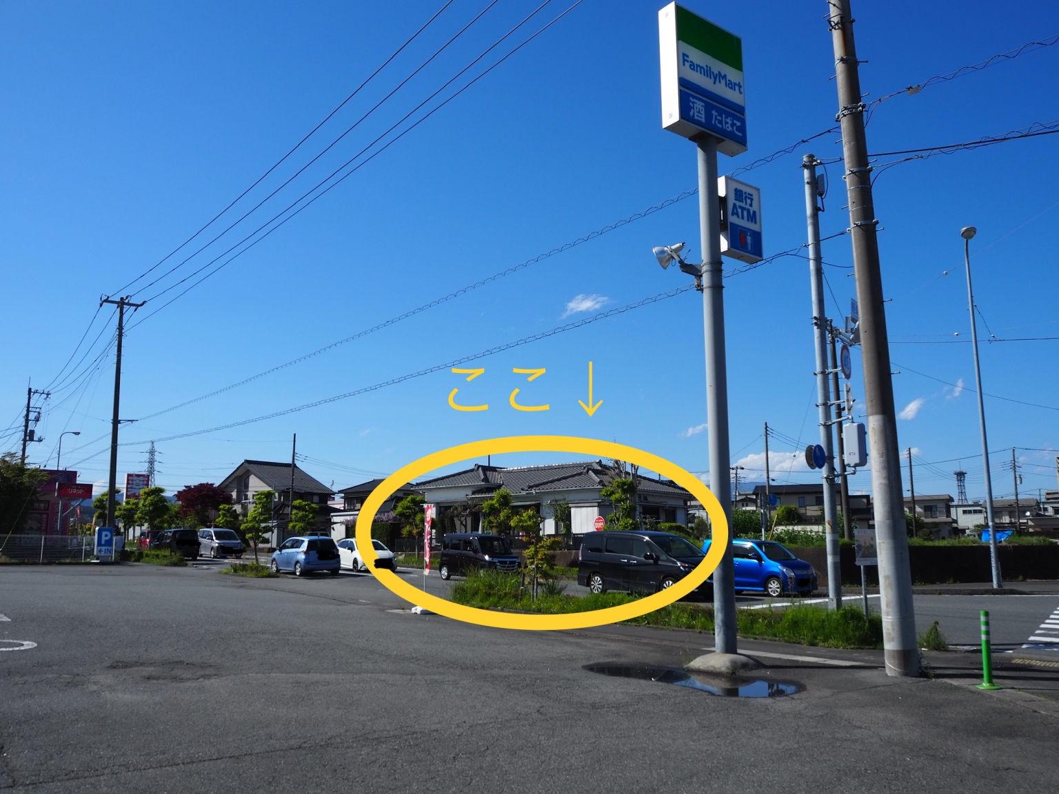 薬膳あんみつ - テレしずWasabee わさびー