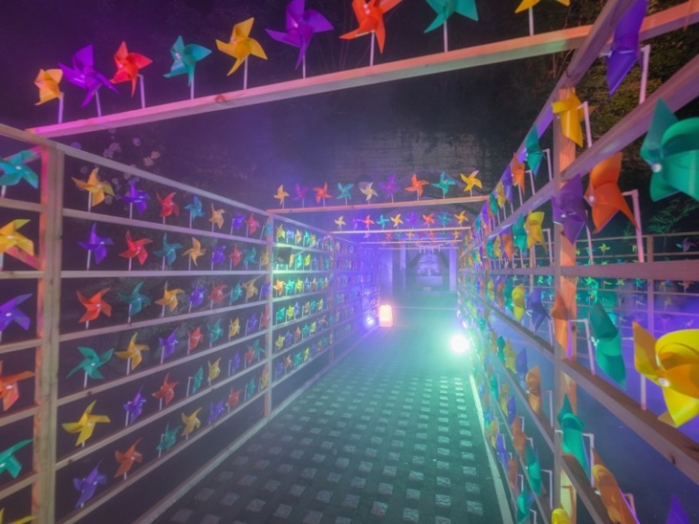 でかける の記事一覧 - テレしずWasabee わさびー