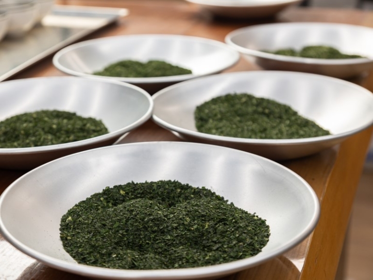 【カクニ茶藤】「有機抹茶を世界に」 茶業界の常識を覆し描いた“世界戦略”で海外の有名店とも取引 - テレしずWasabee わさびー