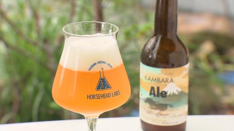 【清水区・ホースヘッドラブズ】蒲原初のクラフトビール醸造所で出来たてを味わう - テレしずWasabee わさびー