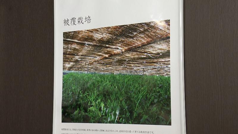 朝比奈玉露専門店comoコモ - テレしずWasabee わさびー